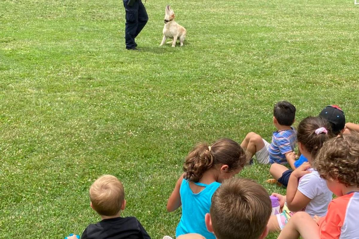 Summer Horizons Camp | West Morris Area YMCA